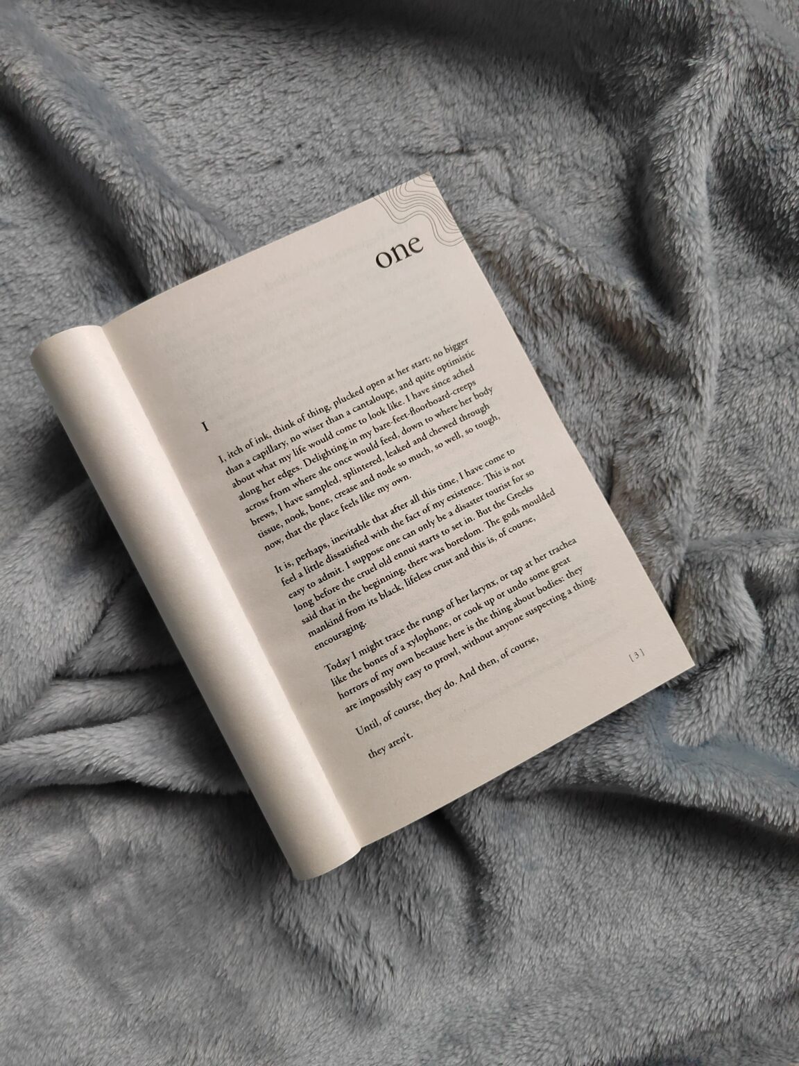 Maps of Our Spectacular Bodies by Maddie Mortimer Review – Bookish Delights