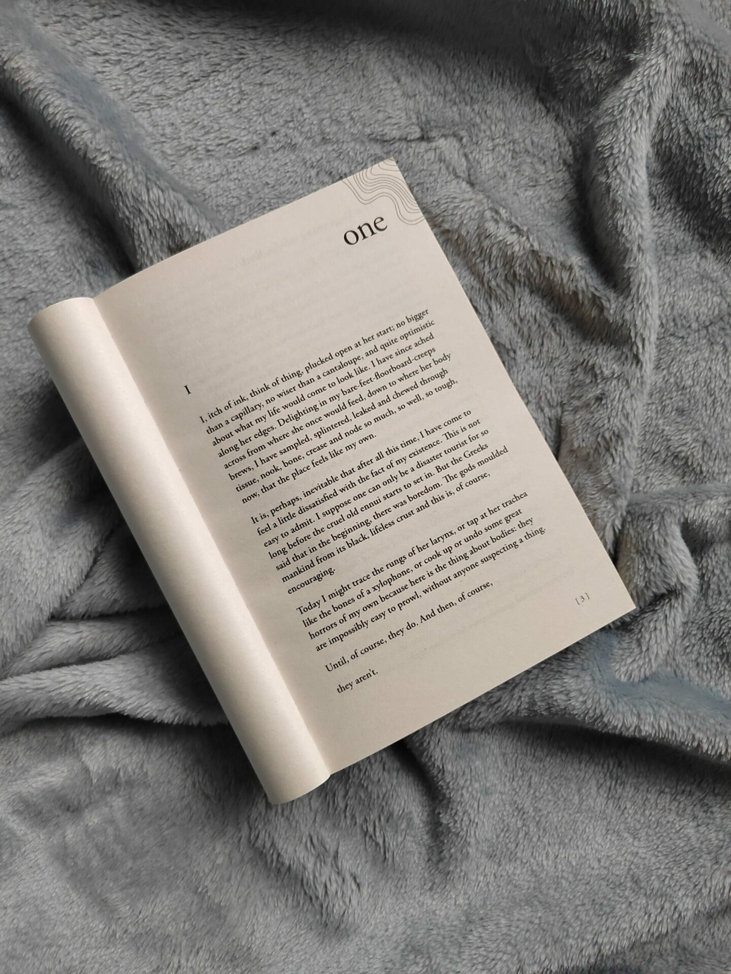 Maps of Our Spectacular Bodies by Maddie Mortimer Review – Bookish Delights